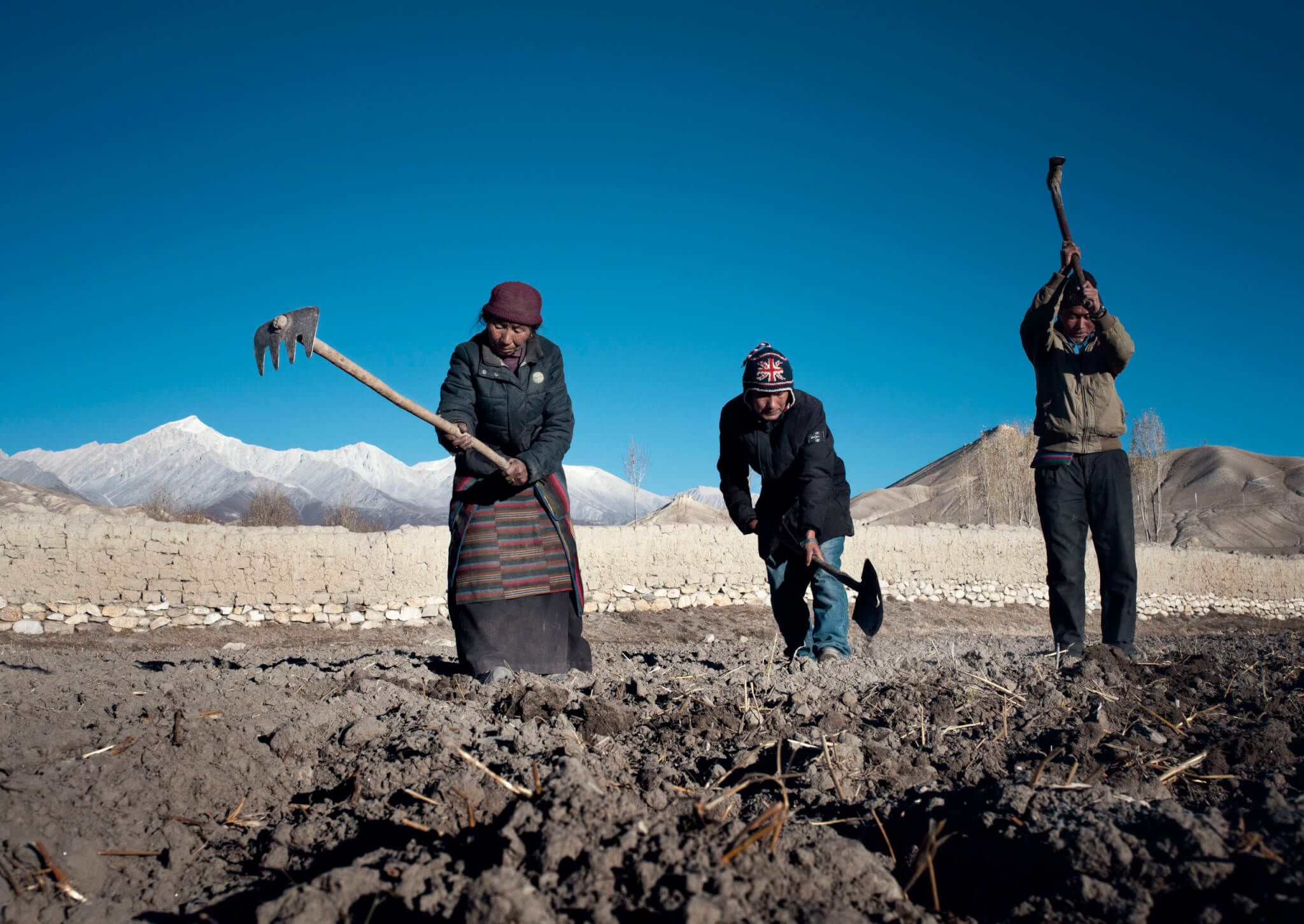 Indigenous People Today